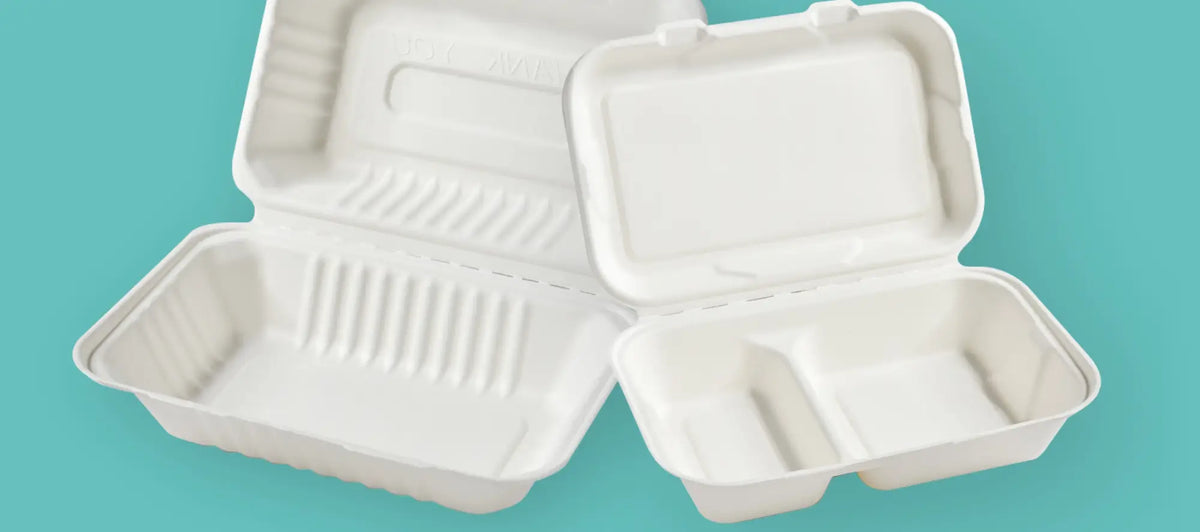 Sugarcane Clamshells – Majestic Packaging